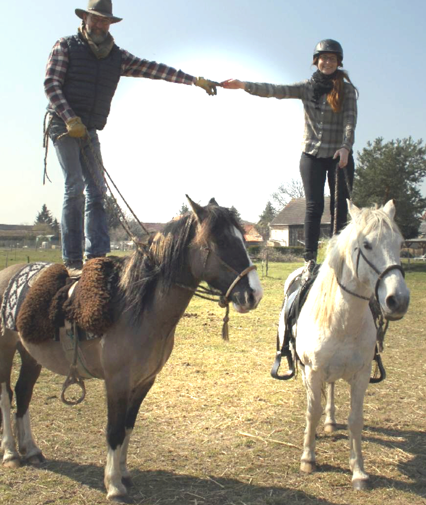 steffenkukral.de – Natural Horsemanship Doma India